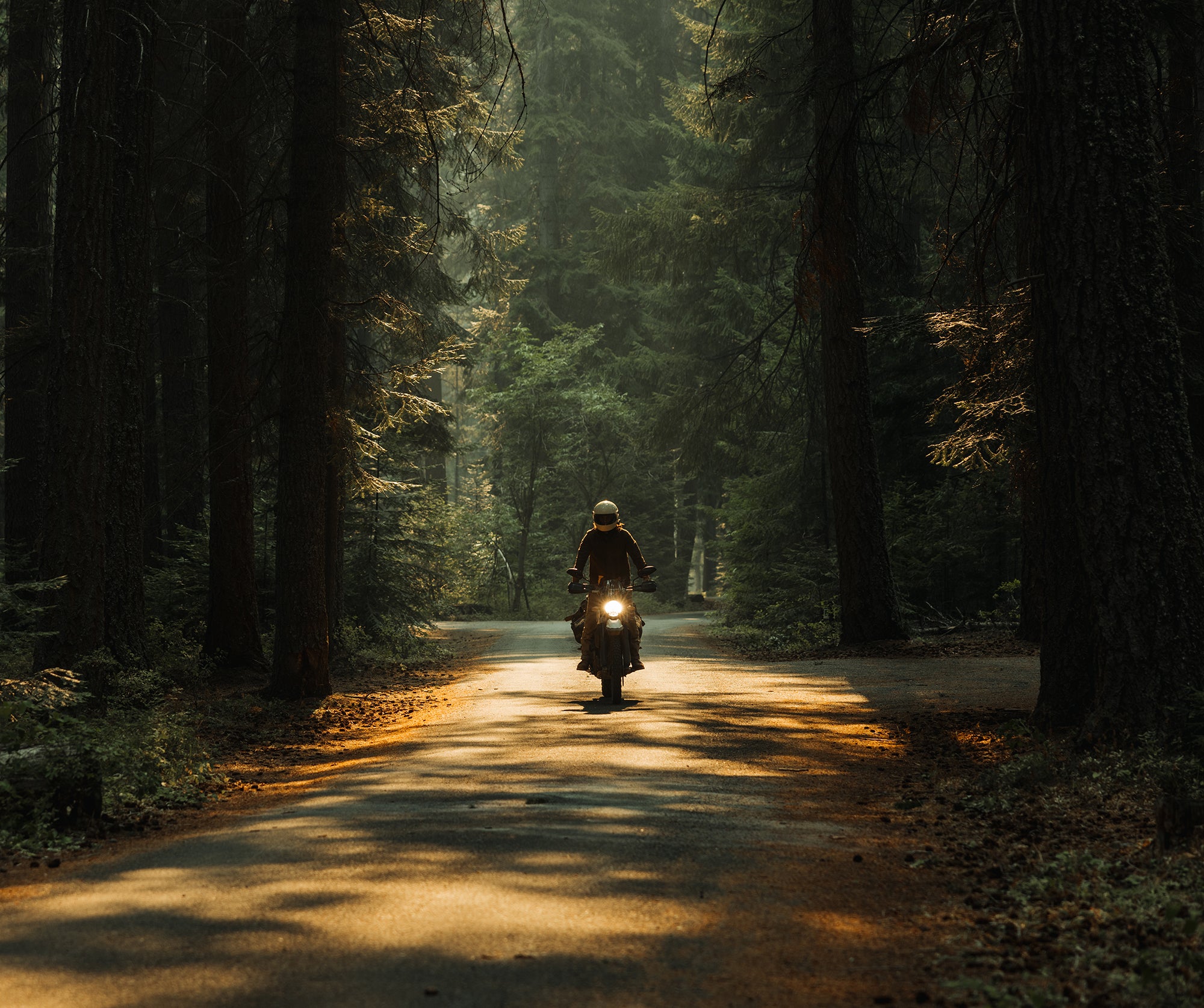 The Great Pacific Divide – VAHNA